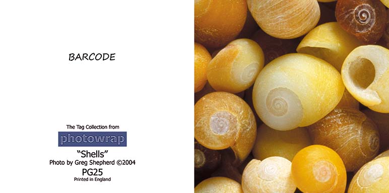 Shells wrap - 25 sheets • Photowrap